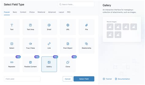 Acf How To Display Acf Fields In Divi Modules