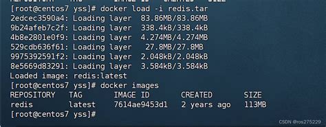 Dockerhub搜索并拉取一个redis镜像
