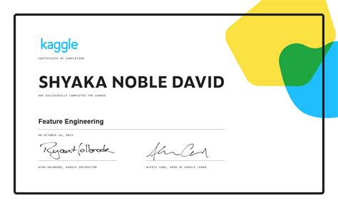 Shyaka Noble David Completed The Feature Engineering Course On Kaggle