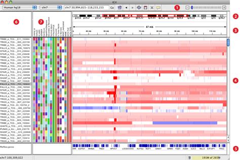 Integrative Genomics Viewer High Performance Visualization Tool For Interactive Exploration Of