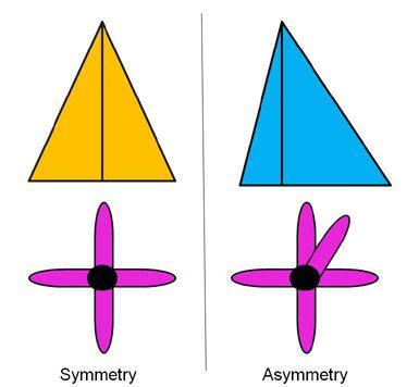 Best Images About Symmetry Examples On Pinterest Activities Examples And Composition