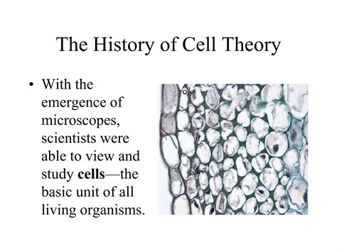 Cellular Structure And Function PPTX Cellular Structure And Function PPTX