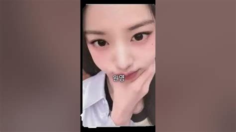 다이브로그 아이브 Youtube