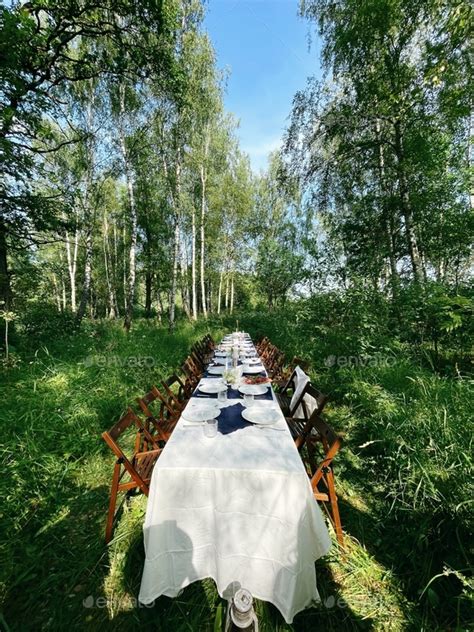 Dining In The Forest Stock Photo By Goncharovakaterina PhotoDune