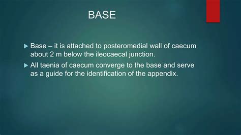 Anatomy Of Appendix PPTX Brain And Nervous System Disorders Diseases And Conditions