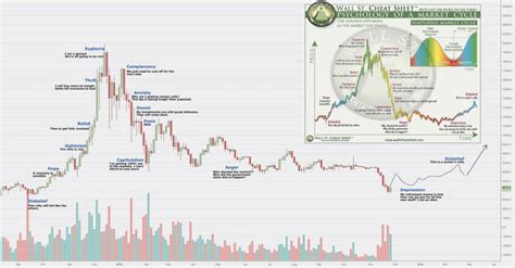 Cryptocurrency Extinction What Projects Will Survive And Continue