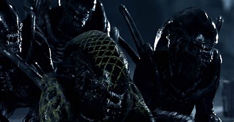 Grid Alien An Alpha Xenomorph Profile Avp Central