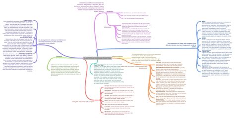 Plant Structure And Function Coggle Diagram