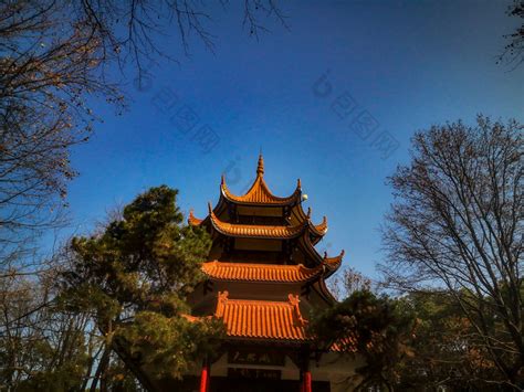 湖南省植物园摄影图图片 包图网企业站