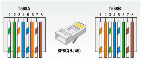Cat5 Wiring Rj45