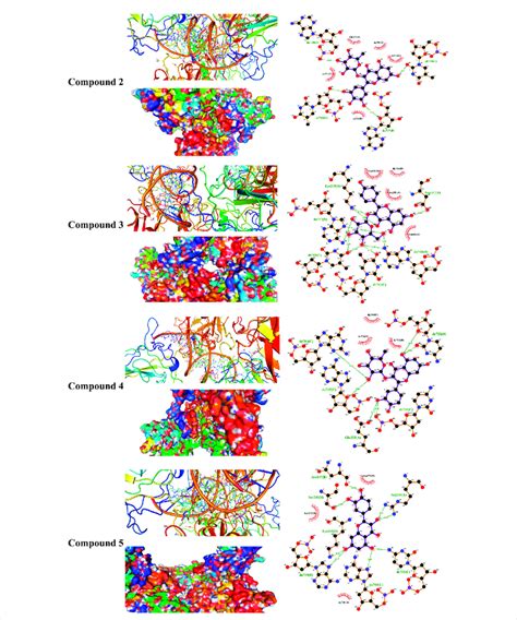 Molecular Docking Showing The Binding Modes Of Compounds 2 3 4 And 5 Download Scientific