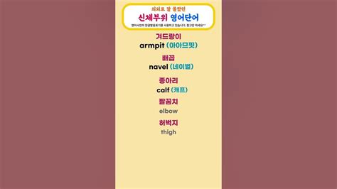 기초영어회화 신체부위 영어단어 겨드랑이 종아리 영어로 듣기만 해도 외워져요 초급영어 Shorts 영어공부 Koreanlanguage Youtube
