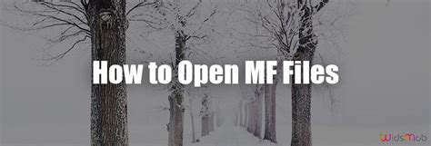 3 Best Methods To Open Browse And Manage MF Files On Win Mac