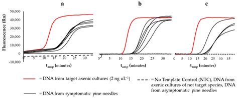 Homed Homed Research Presents A Probe Based Rapid Tool For Detecting
