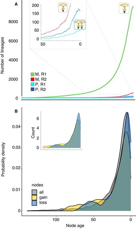 Evolution Of Style Length Polymorphism Along The Evolutionary History