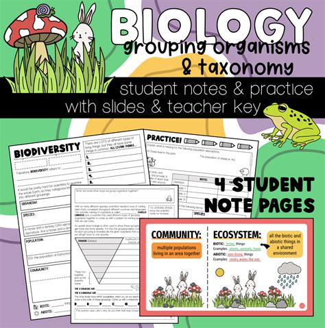 Grouping Organisms And Taxonomy Notes And Practice Made By Teachers