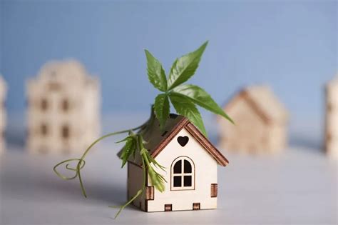 Future Proofing Winnipeg Homes Designs For Renovations