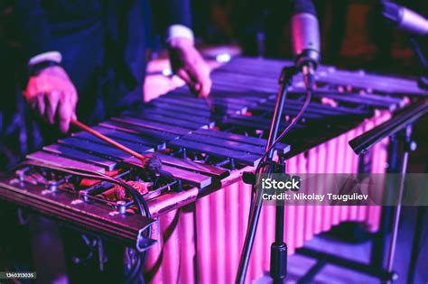 비브라폰 마림바 연주자 말렛 드럼 스틱 라틴 오케스트라 뮤지컬 밴드가 배경으로 공연하는 실로폰 콘서트 뷰 오케스트라에 대한 스톡 사진 및 기타 이미지 Istock