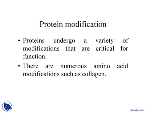 Protein Modifications Proteomics Lecture Slides Slides Proteomics Docsity