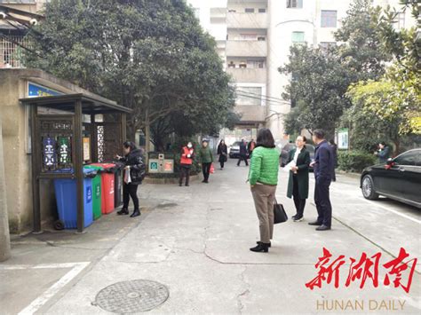 省地级城市生活垃圾分类示范片区评估专家组赴乐坪街道实地评估指导 社会新闻 新湖南