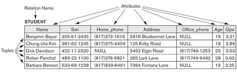 Relational Database