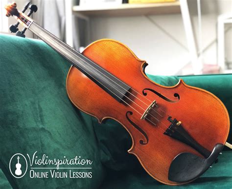 Viola Vs Violin What Are The Differences Violinspiration