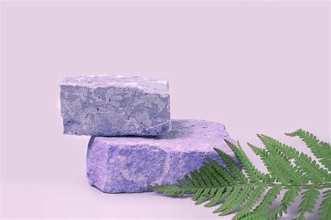 보라색 배경에 승진을 위한 돌 연단 천연 바이올렛 돌 받침대 그린 팜 고사리 나뭇잎 미용 제품 모형 화장품 비누 스탠드 진열장 진열장 부드러운 그림자 두 가지 형태 3d 0