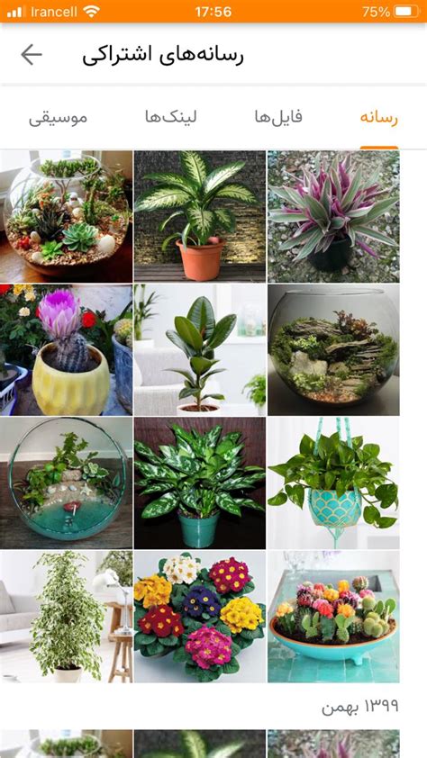 دانلود ایتا برای آیفون پیام‌رسان ایرانی سریع ایتا برای Ios