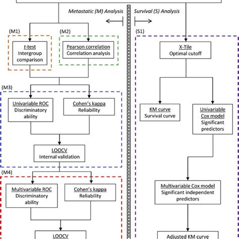 Ctc Capture Platforms And Number Of Captured Ctcs For Pancreatic Cancer Download Scientific