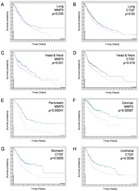extracellular vesicles enriched with moonlighting metalloproteinase are