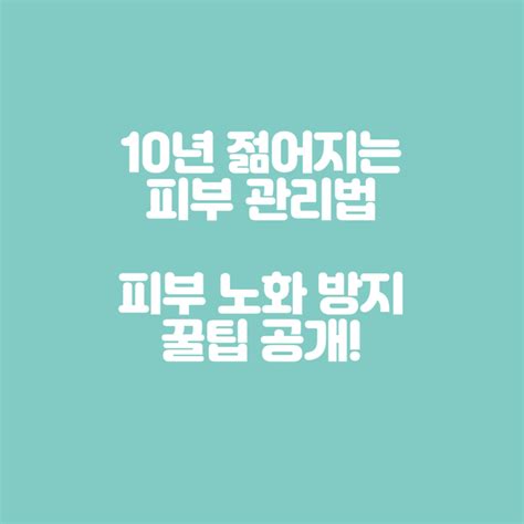 🌟 피부 노화 방지 젊고 건강한 피부를 위한 완벽 가이드 🌟