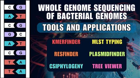 Whole Genome Sequencing Of Bacterial Genomes Tools And Applications Basic Bioinformatics