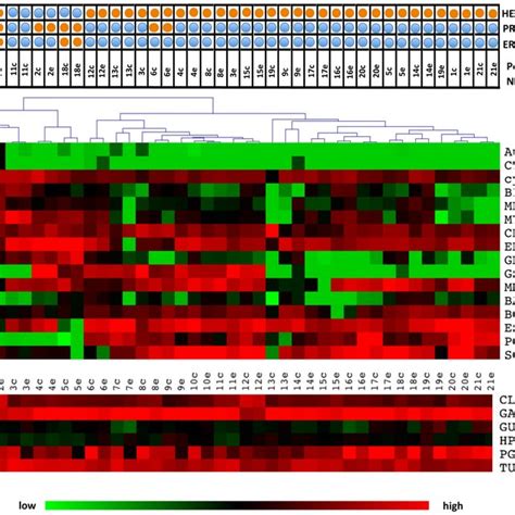 Heatmap Of Unsupervised Clustering Of Both The Cnb And Eb Samples
