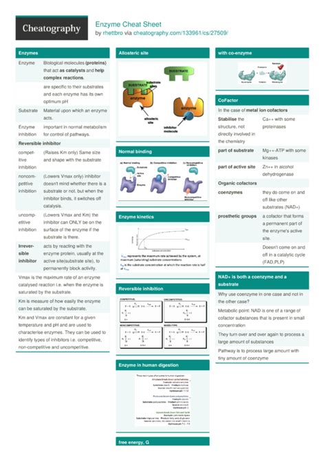 Enzyme Kinetics Cheat Sheet At Kathy Foley Blog