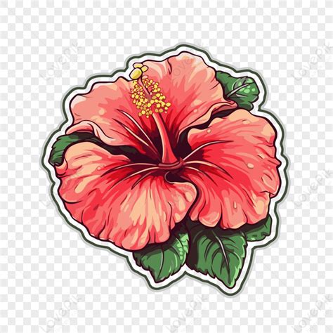 히비스커스 꽃 스티커 아트 클립 아트 벡터상표비스티 Png 일러스트 무료 다운로드 Lovepik