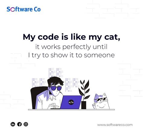 Software Co 🚀 On Linkedin Programmerproblems Codingwoes Softwaredevelopment Webdesign