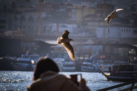 photographer siddharth raghuvanshi