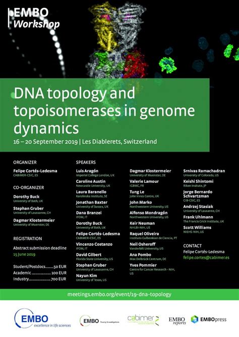 Pdf Dna Topology And Topoisomerases In Genome Dynamics 16 20 Files
