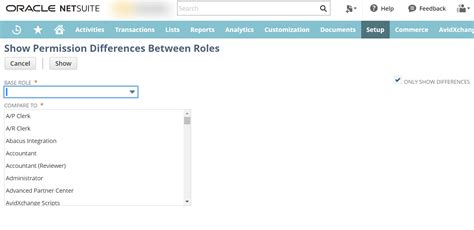 Evaluate Netsuite Roles And Compare To Customize Ecobsoft