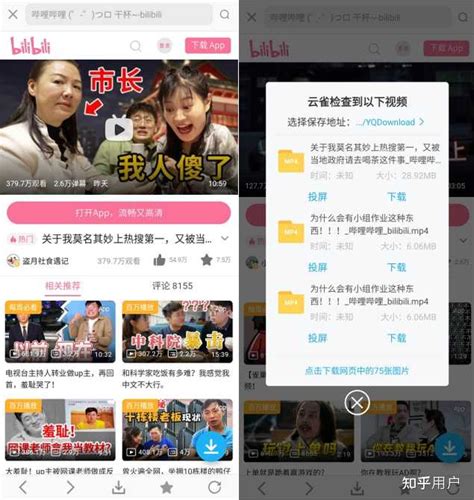 如何下载网页上的视频？ 知乎