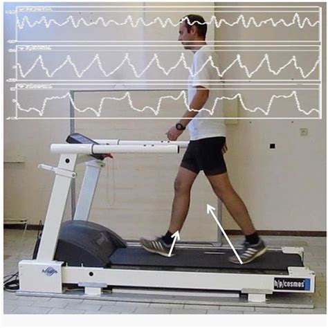 跑台 测力跑台 三维测力跑台 训练 运动监控 保护支架 步态分析 treadmill force treadmill gaitway 3D