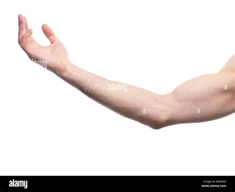Extended Male Arm With Open Palm Isolated On White Background Stock Photo Alamy