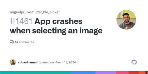 App Crashes When Selecting An Image Issue Miguelpruivo Flutter File Picker GitHub