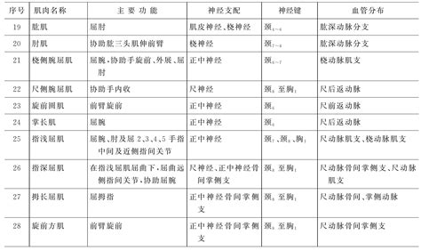 第九节 颈腰关节运动功能检查与相关肌肉血管神经支配 颈腰关节疼痛及注射疗法 医学