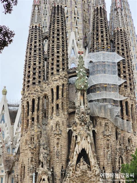 바르셀로나 가우디투어 사그라다 파밀리아 성당성 가족 성당 내부 입장 네이버 블로그