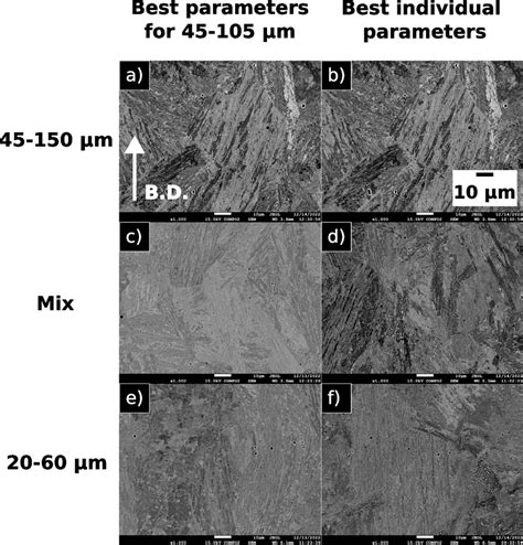 Bse Sem Micrographs Of The Best Specimen Cubes For Each Of The Three