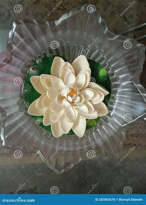 Flower Lotus National Flower Of India Stock Photo Image Of Signifies