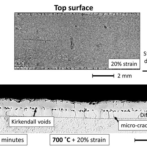 A Top And B Cross Section Optical Inspections Of The Alsi Coating Download Scientific