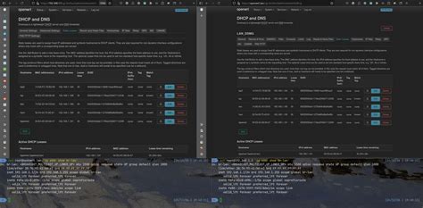 Luci Why Does The Network DHCP DNS UI Differs When Accessing With IP Instead Of Hostname