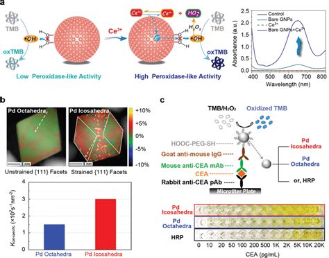 Application Of Noble‐metal‐based Nanozymes In Biosystems A Activation